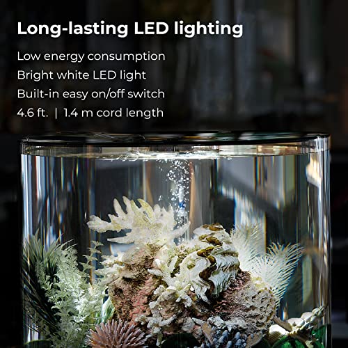 Tube 15 Aquarium with Standard Light - 4 Gallon, Black