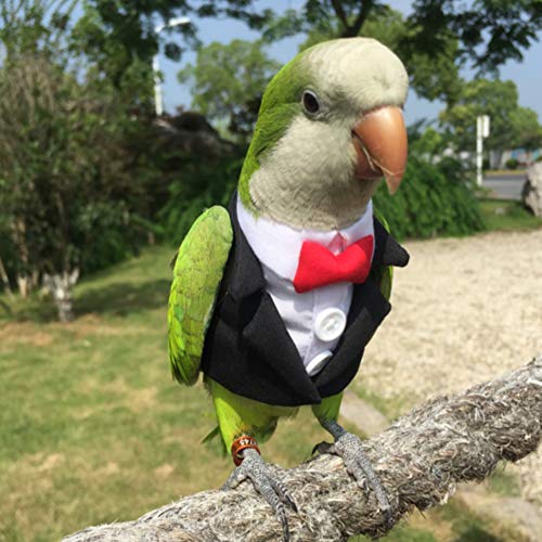 Pet Small Animals Clothes Birds Flight Suit for Parrots African Greys Parakeet Cockatiel Sun Conure, Cute School Uniform Tuxedo Business Suit for Christmas Party Birthday Pet Shows Cosplay Photo Prop