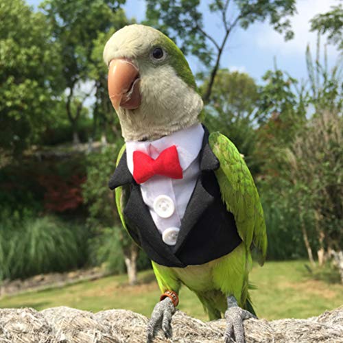 Pet Small Animals Clothes Birds Flight Suit for Parrots African Greys Parakeet Cockatiel Sun Conure, Cute School Uniform Tuxedo Business Suit for Christmas Party Birthday Pet Shows Cosplay Photo Prop