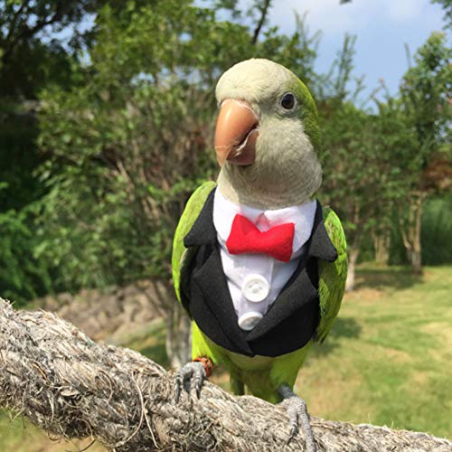 Pet Small Animals Clothes Birds Flight Suit for Parrots African Greys Parakeet Cockatiel Sun Conure, Cute School Uniform Tuxedo Business Suit for Christmas Party Birthday Pet Shows Cosplay Photo Prop