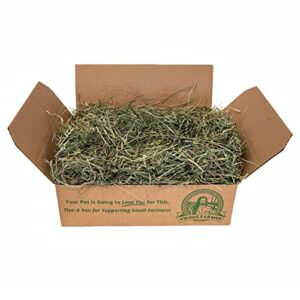 viking farmer orchard grass for rabbits & small pets, 5 lbs