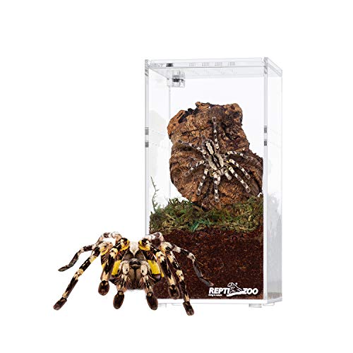 REPTI ZOO Magnetic Acrylic Reptile Breeding Box, 3"x3"x6" Transparent Feeding Box with Sliding Cover Reptile Terrarium Cage Tank for Insect Reptiles Tarantulas