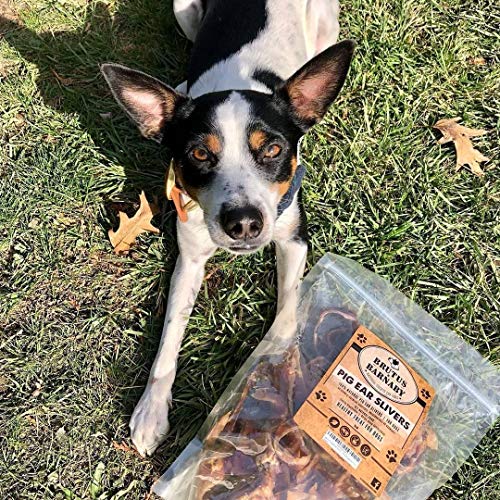 BRUTUS & BARNABY Pig Ear Slivers - Thick Cut, All Natural Dog Treat, Healthy Pure Pork Ear, Easily Digested, Best Gift for Large & Small Dogs (1 lb)