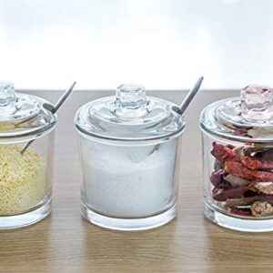 123Arts Glass Sugar Bowl Spice Jar with Lid and Stainless Steel Spoon Spoon