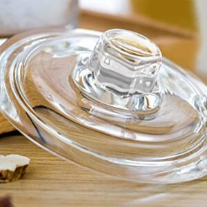 123Arts Glass Sugar Bowl Spice Jar with Lid and Stainless Steel Spoon Spoon