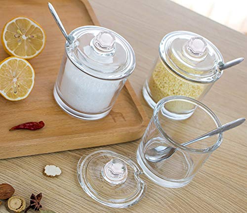 123Arts Glass Sugar Bowl Spice Jar with Lid and Stainless Steel Spoon Spoon