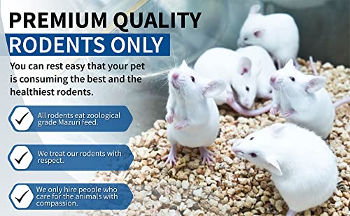 MiceDirect Frozen Small Adult Feeder Mice Food for Juvenile Ball Pythons, Adult Corn Snakes (25 Count)