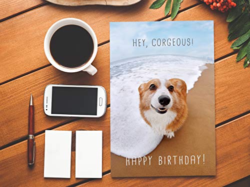 Maplelon Corgi Birthday Card, Corgeous Dog Bday Card for Husband Boyfriend Friend Corgi Lover, Funny Card