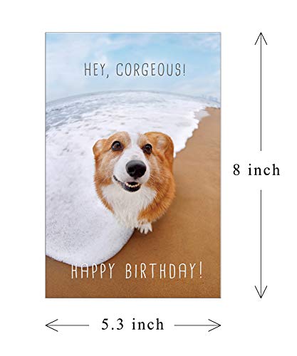 Maplelon Corgi Birthday Card, Corgeous Dog Bday Card for Husband Boyfriend Friend Corgi Lover, Funny Card