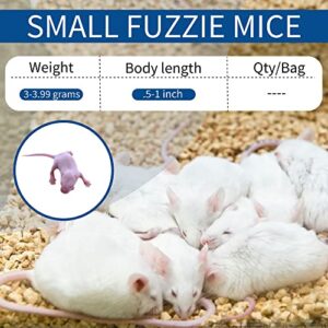 MiceDirect Frozen Small Fuzzie Feeder Mice Food for Juvenile Hognose, Corn & Milk Snakes (50 Count)