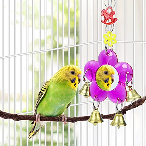 Bird Mirror Toy Hanging Ringer Bell Colorful Swing Cage Toy with Sweet Sound for Small Medium Parrot Parakeet Conure Cockatiel Cockatoo Macaw Amazon Finch Cage Accessories