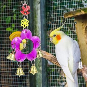 Bird Mirror Toy Hanging Ringer Bell Colorful Swing Cage Toy with Sweet Sound for Small Medium Parrot Parakeet Conure Cockatiel Cockatoo Macaw Amazon Finch Cage Accessories