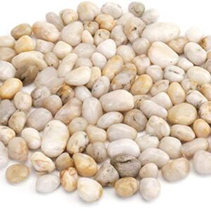 Nicunom 6 lb White Pebbles Natural Decorative Stone Small Polished Gravel River Rocks for Aquariums, Vase Fillers, Landscaping, Succulent…