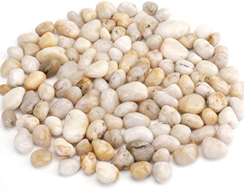 Nicunom 6 lb White Pebbles Natural Decorative Stone Small Polished Gravel River Rocks for Aquariums, Vase Fillers, Landscaping, Succulent…