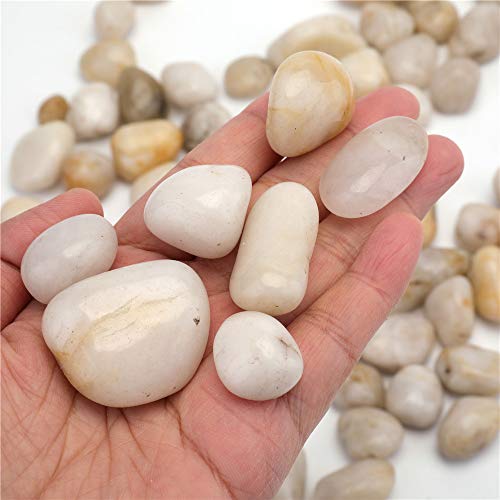 Nicunom 6 lb White Pebbles Natural Decorative Stone Small Polished Gravel River Rocks for Aquariums, Vase Fillers, Landscaping, Succulent…