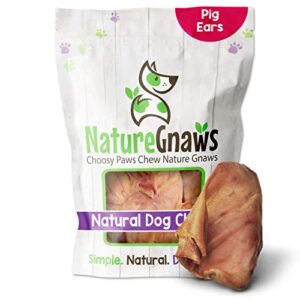 nature gnaws pig ears for dogs - premium natural pork dental chews - thick long lasting dog chew treats for aggressive chewers - rawhide free 8 count (pack of 1)