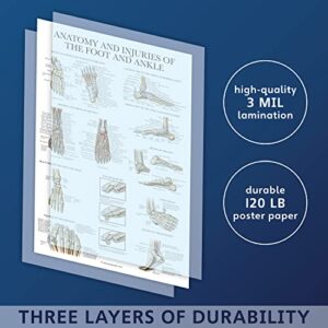 Palace Learning Laminated Anatomy and Injuries of the Foot and Ankle Poster - Anatomical Chart of Foot and Ankle Joint - 18" x 24"