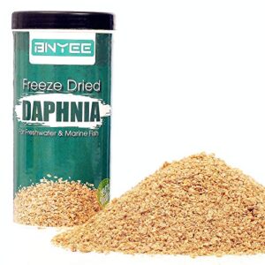 freeze dried daphnia fish food for betta, neon, guppy, cichlid, catfish and all tropical fish