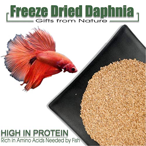 Freeze Dried Daphnia Fish Food for Betta, Neon, Guppy, Cichlid, Catfish and All Tropical Fish