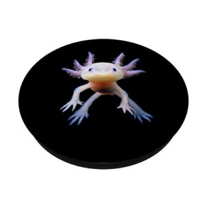 Axolotl Mexican Walking Fish Cute Amphibian Axolotl PopSockets PopGrip: Swappable Grip for Phones & Tablets