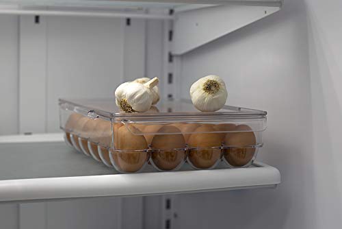 Home Basics Compartment BPA Free Plastic Extra Large Storage Stackable Refrigerator, Clear (24 Egg Holder)