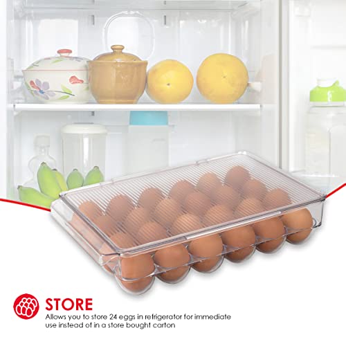 Home Basics Compartment BPA Free Plastic Extra Large Storage Stackable Refrigerator, Clear (24 Egg Holder)