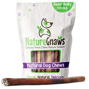 nature gnaws bully sticks for dogs - premium natural beef dental bones - long lasting dog chew treats for aggressive chewers - rawhide free - mixed thickness 8 ounce (pack of 1)