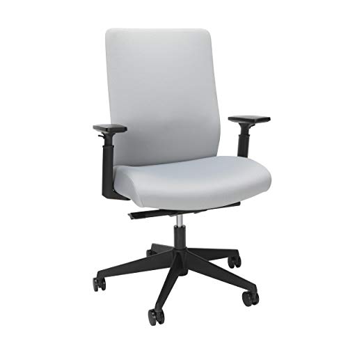 HON Basyx Biometryx Commercial-Grade Fabric Upholstered Task Chair, Grey