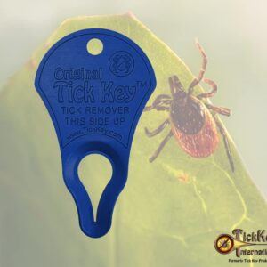 The Original Tick Key -Tick Detaching Device - Portable, Safe and Highly Effective Tick Detaching Tool - 3 Pack (Earth)