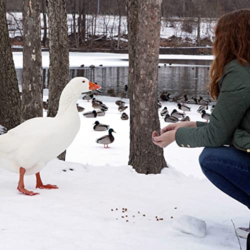 Natural Waterscapes Waterfowl Feed 20 lb Bag | Floating Pellets for Duck, Swan, Goose | for Wild and Pet Ducks