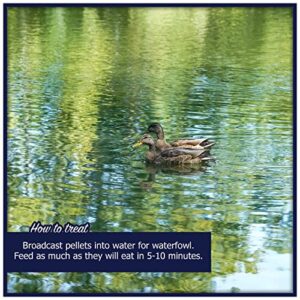 Natural Waterscapes Waterfowl Feed 20 lb Bag | Floating Pellets for Duck, Swan, Goose | for Wild and Pet Ducks