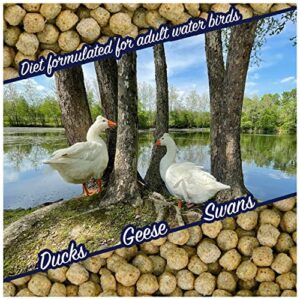 Natural Waterscapes Waterfowl Feed 20 lb Bag | Floating Pellets for Duck, Swan, Goose | for Wild and Pet Ducks