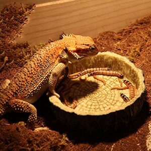 Ailindany Reptile Bowl Tortoise Water Dish Food Bowl Feeders Water Dish Resin Made for Amphibians Gecko Snakes Lizard Chameleon