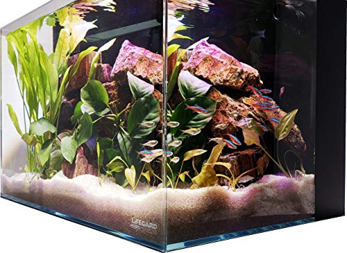 LIFEGARD Low Iron Ultra Clear Crystal Aquarium with Built in Filter – Rimless Glass, Beveled Edge, Elevated Style – Direct Jet Flow – 8.3 GPH