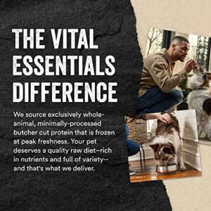 Vital Essentials Freeze Dried Dog Treats, Dog Snacks Made in The USA, All Natural Dog Treats, Great Training Treats for Dogs, Dried Minnows 2.5 oz