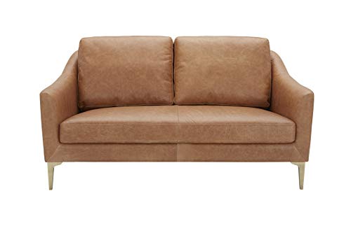 Amazon Brand – Rivet Alonzo Contemporary Leather Loveseat Sofa, 63.8"W, Cognac