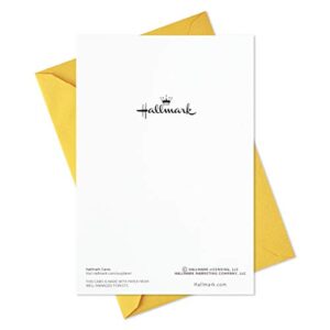 Hallmark Pack of 10 Graduation Cards with Envelopes (Dream Big)