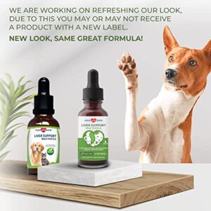 Milk Thistle for Dogs and Cats – Liver Support for Dogs and Cats, Milk Thistle Liver Detox, Dog Liver Supplement, Supplements for Dogs and Cats, Cat and Dog Detox – 2oz (60ml)