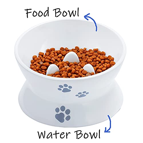 Raised Cat Bowl Elevated Slow Feeder Solve Vomiting Melamine Stress Free Pet Feeder and Waterer,Backflow Prevention, Gift for Cat