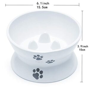 Raised Cat Bowl Elevated Slow Feeder Solve Vomiting Melamine Stress Free Pet Feeder and Waterer,Backflow Prevention, Gift for Cat