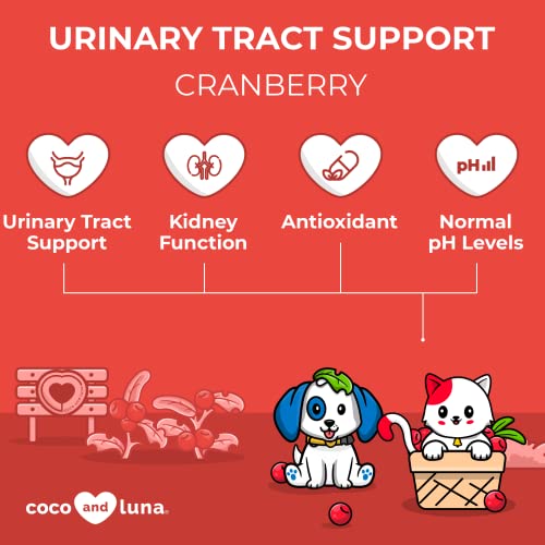 Cranberry for Dogs and Cats - 120g Powder - Urinary Tract Support, Cat UTI, Bladder Support, Dog UTI, Bladder Stones and Incontinence Support