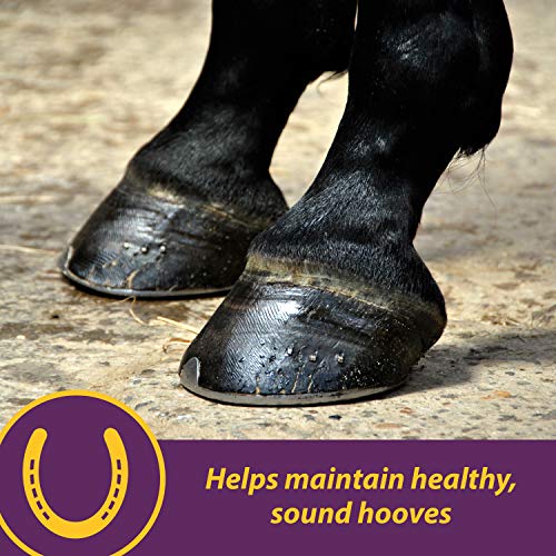 Horse Health Vita Biotin Crumbles horse hoof Supplement, Helps maintain healthy, sound hooves and strong hoof walls, 3 lbs., 48 day supply