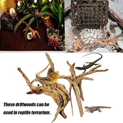 Tfwadmx Aquarium Driftwood Natural Wood Reptile Branch Fish Tank Tree Plant Stump Ornament Decor 4 PCS