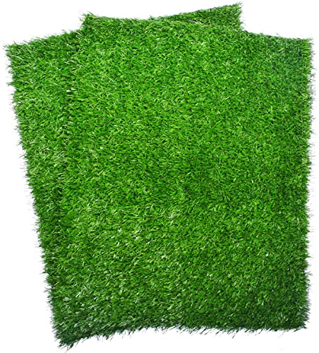 Artificial Dog Grass Pee Pad 20”x 25” 2Pack, Washable Indoor Potty Training Replacement Turf for Puppy, Reusable Realistic Grass for Dogs