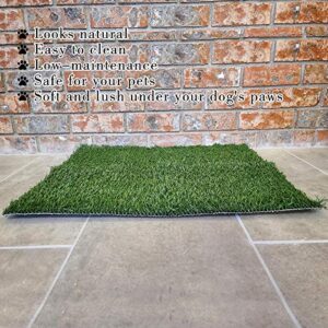 Artificial Dog Grass Pee Pad 20”x 25” 2Pack, Washable Indoor Potty Training Replacement Turf for Puppy, Reusable Realistic Grass for Dogs