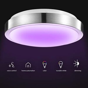 Globe Electric 60839 Wi-Fi Smart 11" Flush Mount Ceiling Light, Brushed Nickel, No Hub Required, Voice Activated, Energy Star, 16 W, Multicolor Changing RGB, White 2000K - 5000K, 1120 Lumens, 80 CRI