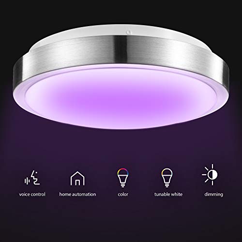 Globe Electric 60839 Wi-Fi Smart 11" Flush Mount Ceiling Light, Brushed Nickel, No Hub Required, Voice Activated, Energy Star, 16 W, Multicolor Changing RGB, White 2000K - 5000K, 1120 Lumens, 80 CRI