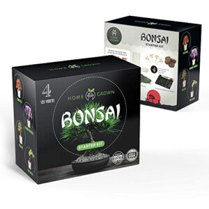 Bonsai Tree Kit, Grow Your Own: Premium 4 Bonsai Trees Starter Kit | Unique Japanese Gifts for Moms Who Have Everything, Women, Men | Gardening Plant Gift for Beginners & Gardeners, Crafts for Adults