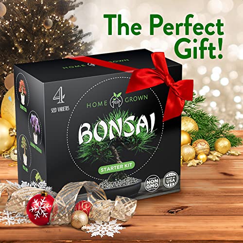 Bonsai Tree Kit, Grow Your Own: Premium 4 Bonsai Trees Starter Kit | Unique Japanese Gifts for Moms Who Have Everything, Women, Men | Gardening Plant Gift for Beginners & Gardeners, Crafts for Adults