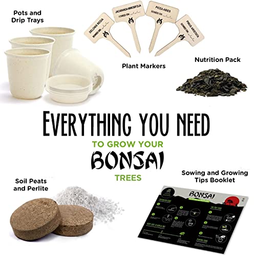 Bonsai Tree Kit, Grow Your Own: Premium 4 Bonsai Trees Starter Kit | Unique Japanese Gifts for Moms Who Have Everything, Women, Men | Gardening Plant Gift for Beginners & Gardeners, Crafts for Adults